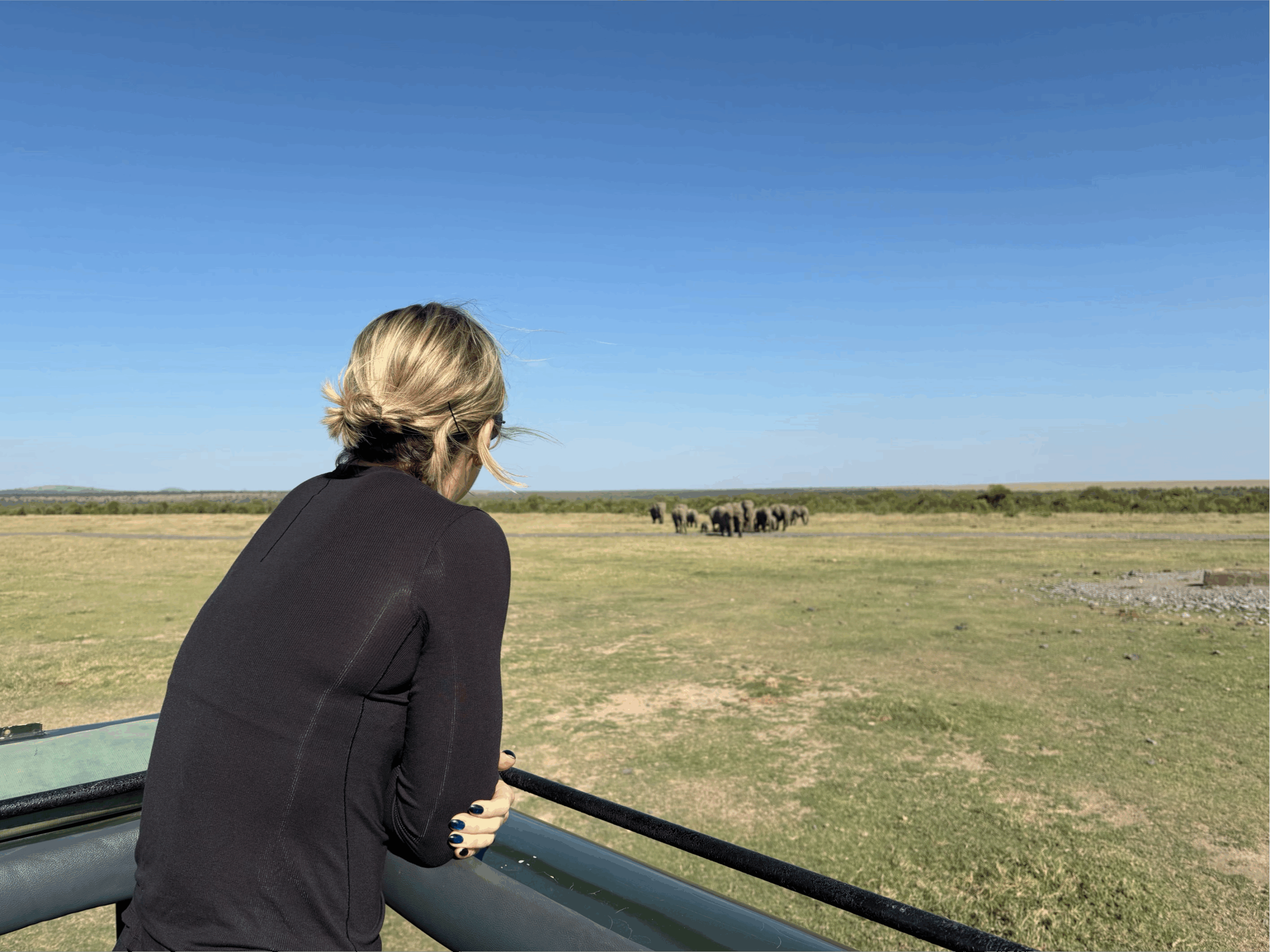 The Long Way There: What a Kenya Safari Taught This Aspiring Leader ...